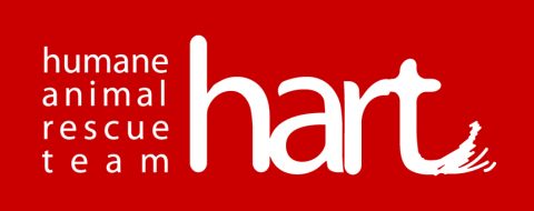 About hart - Edmonton Dog Rescue