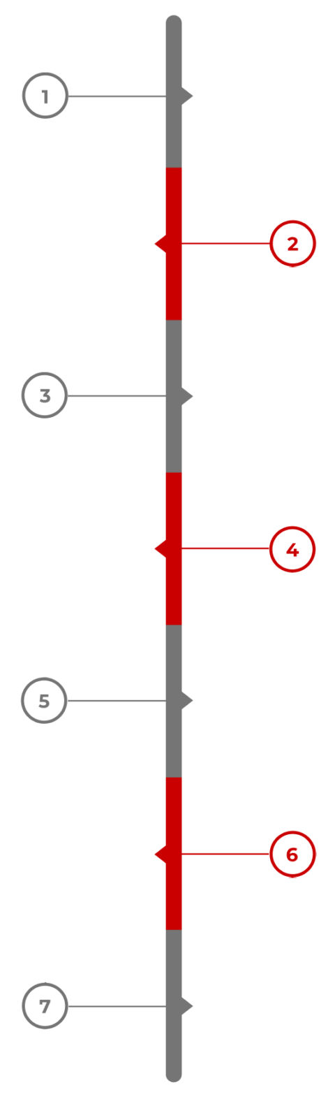 Adopt a Dog - hart edmonton